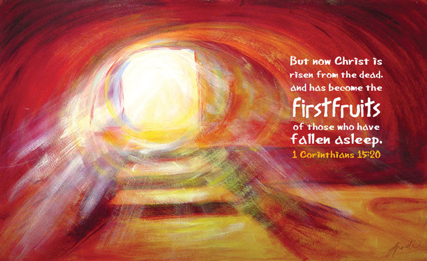 First Fruits | Unashamed of Jesus