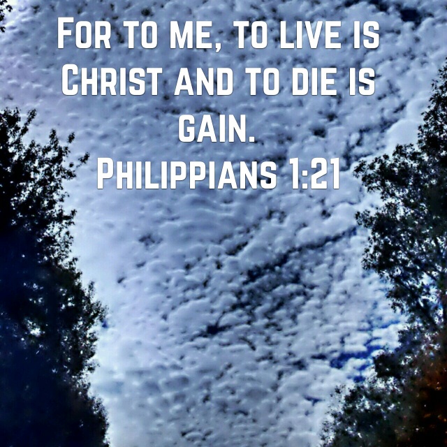 To Live Is Christ | Unashamed of Jesus