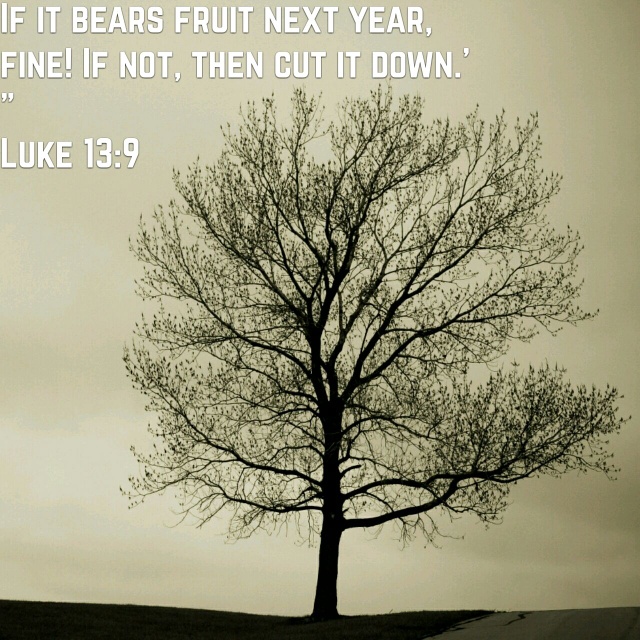 Parable of The Fig Tree | Unashamed of Jesus