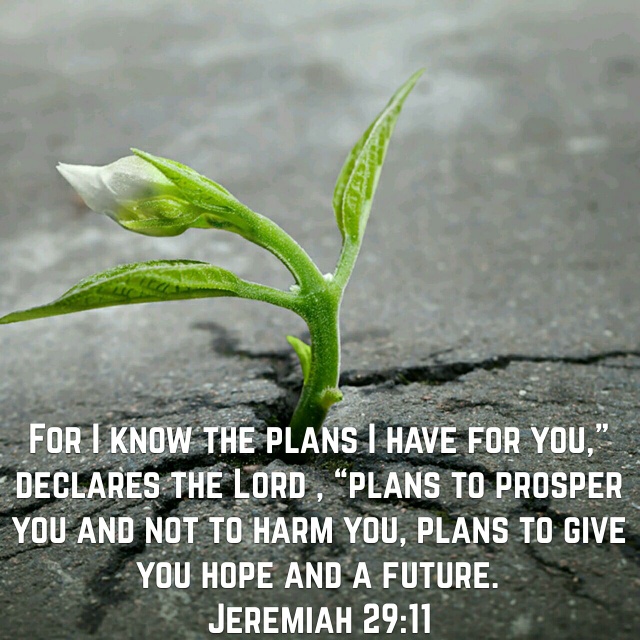 Gods Plan For You | Unashamed of Jesus