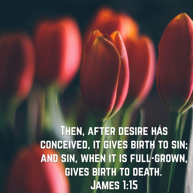 Birth To Sin | Unashamed of Jesus