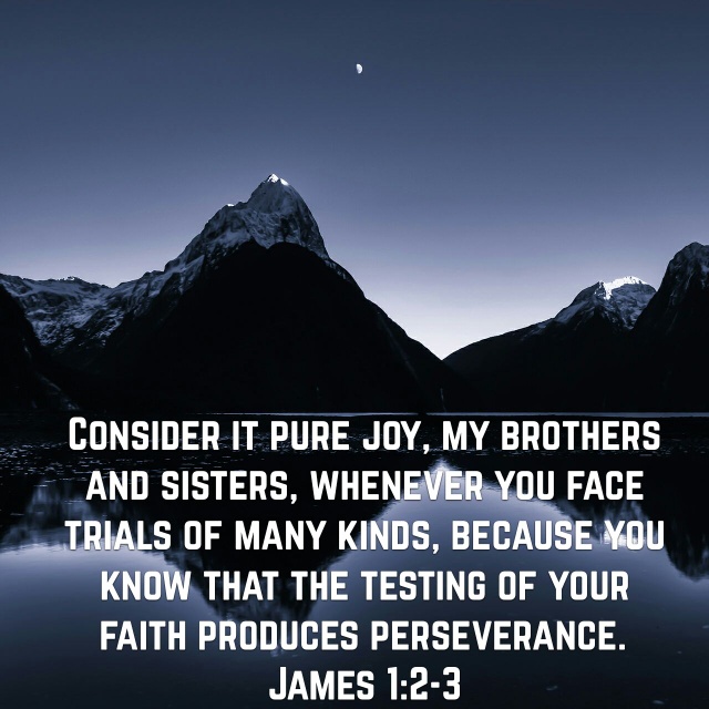 Faith Produces Perseverance | Unashamed of Jesus