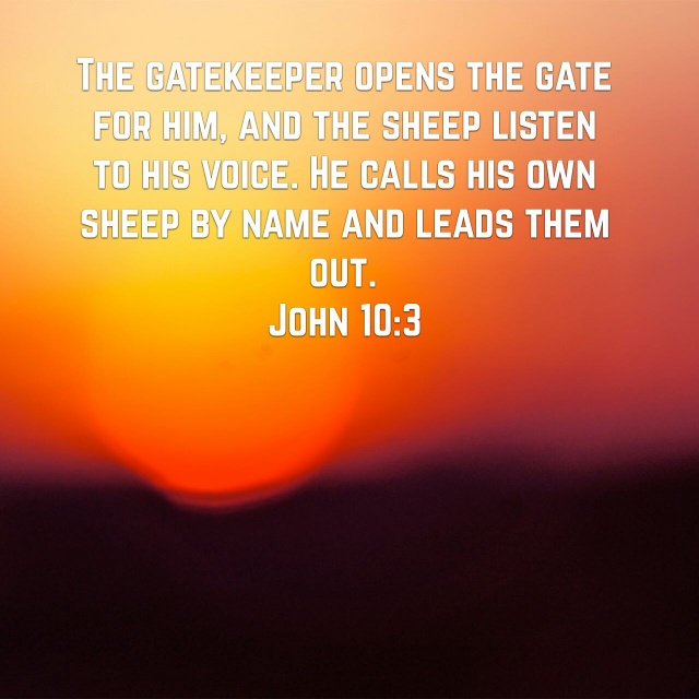 The Gatekeeper | Unashamed of Jesus