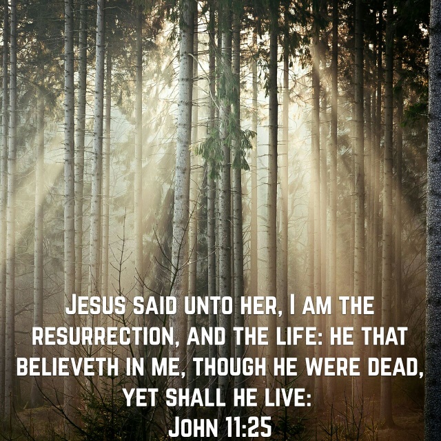 Resurrection Power | Unashamed of Jesus