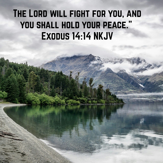 God Fights For You | Unashamed of Jesus