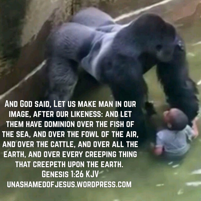 Gods Image | Unashamed of Jesus
