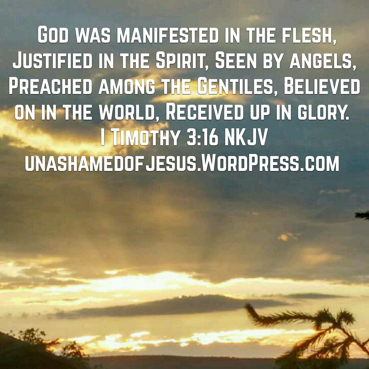 God In The Flesh | Unashamed of Jesus