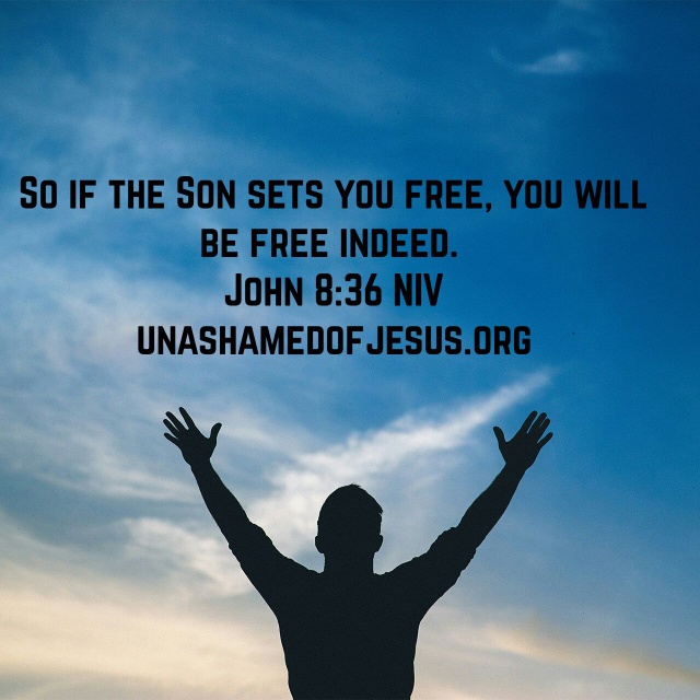 Free Indeed | Unashamed of Jesus