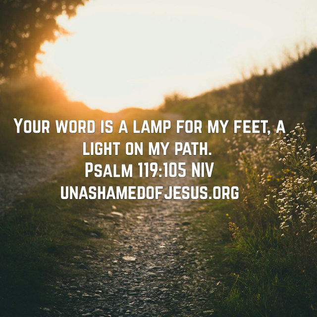 Light On My Path | Unashamed of Jesus