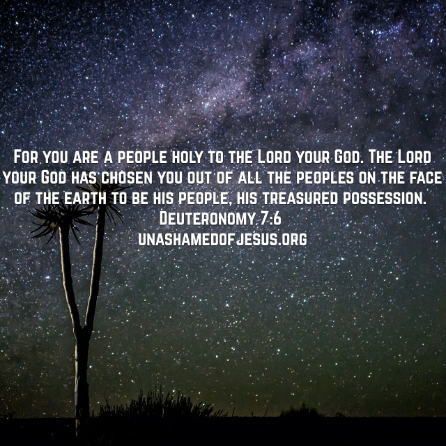 Treasured Possesion | Unashamed of Jesus