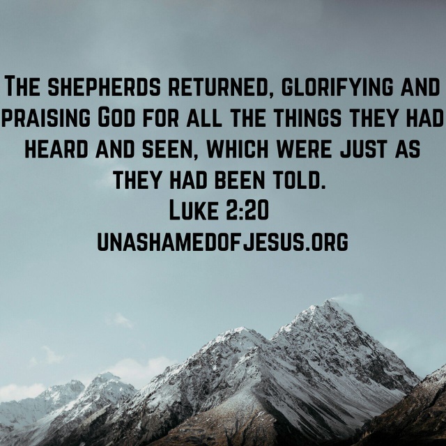 Glorify God | Unashamed of Jesus