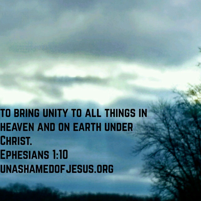 Unity In Christ | Unashamed of Jesus