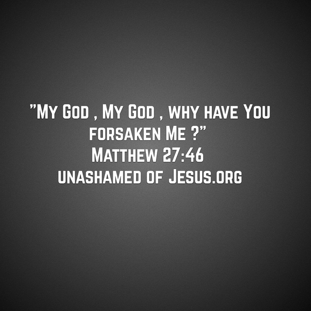 My God My God | Unashamed of Jesus