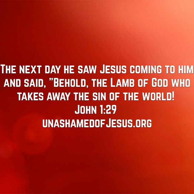 Passover Lamb Goodfriday Unashamed Of Jesus