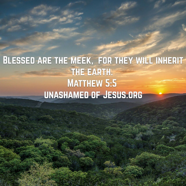 Blessed Are The Meek | Unashamed of Jesus