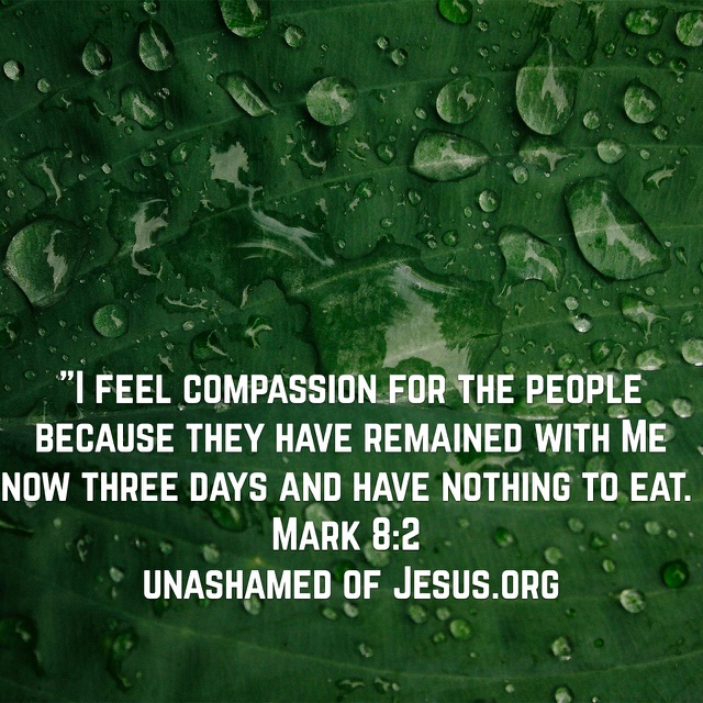 Compassion of Jesus | Unashamed of Jesus