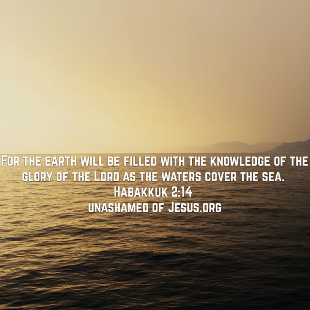 Knowledge Increase | Unashamed of Jesus