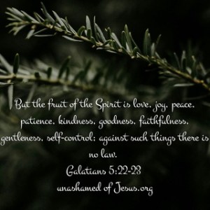 Peace Love Joy | Unashamed of Jesus