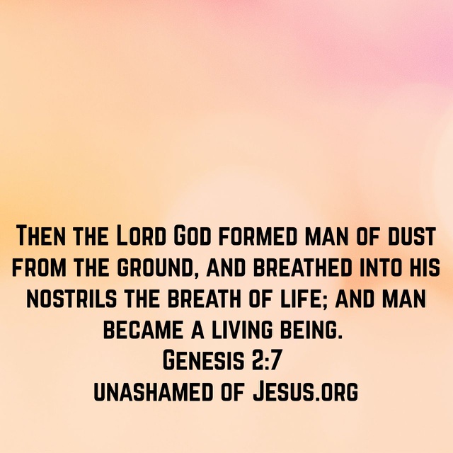 Breath of Life | Unashamed of Jesus