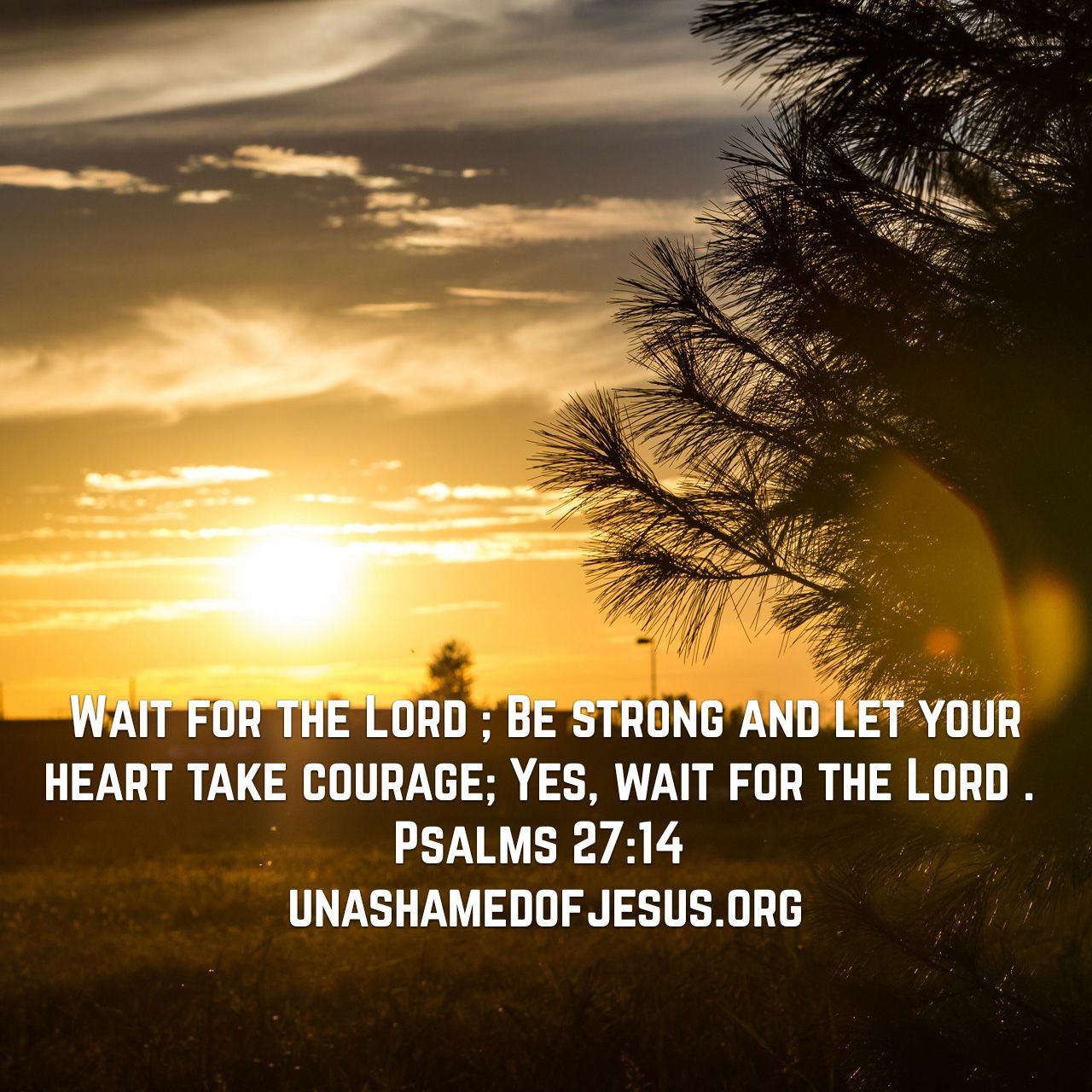 Wait For Jesus | Unashamed of Jesus