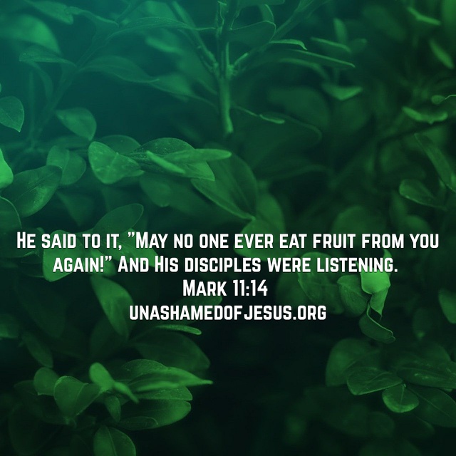 Holy Week- Tuesday -The Fig Tree | Unashamed of Jesus