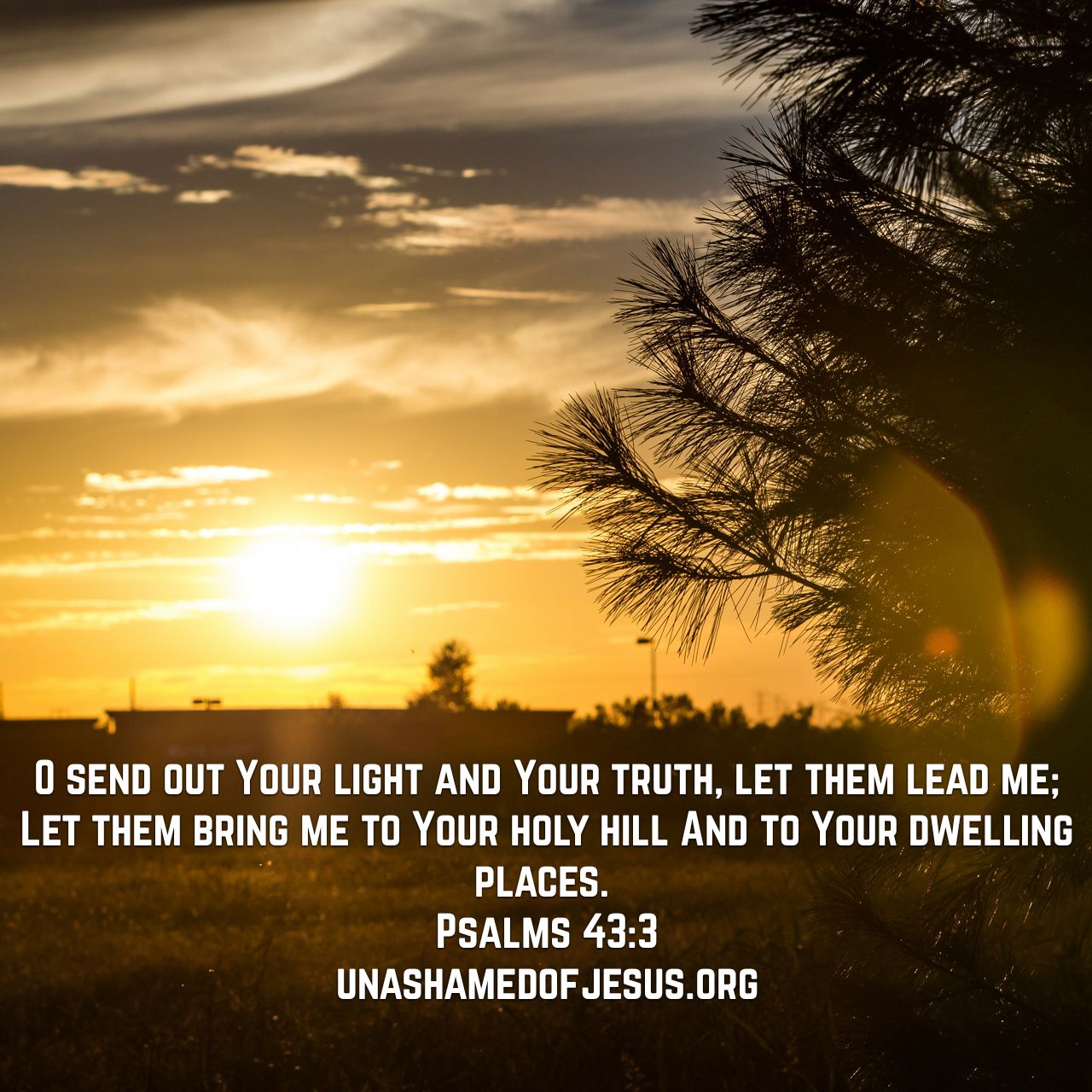 Send Out | Unashamed of Jesus