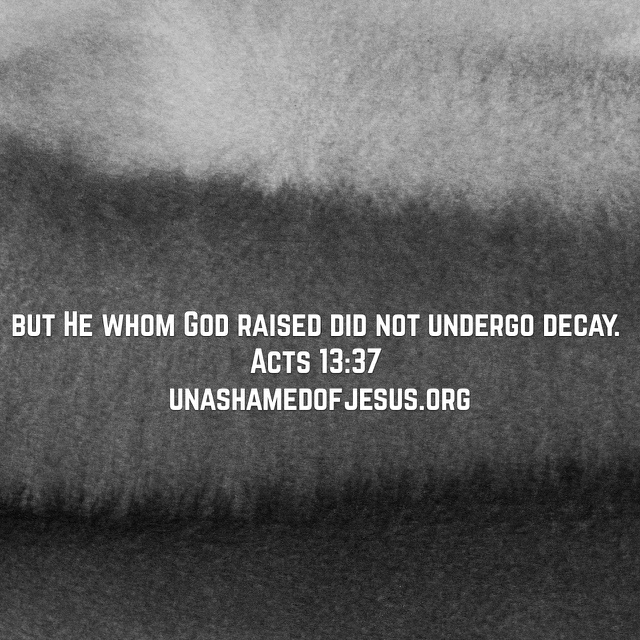 God Raised | Unashamed of Jesus