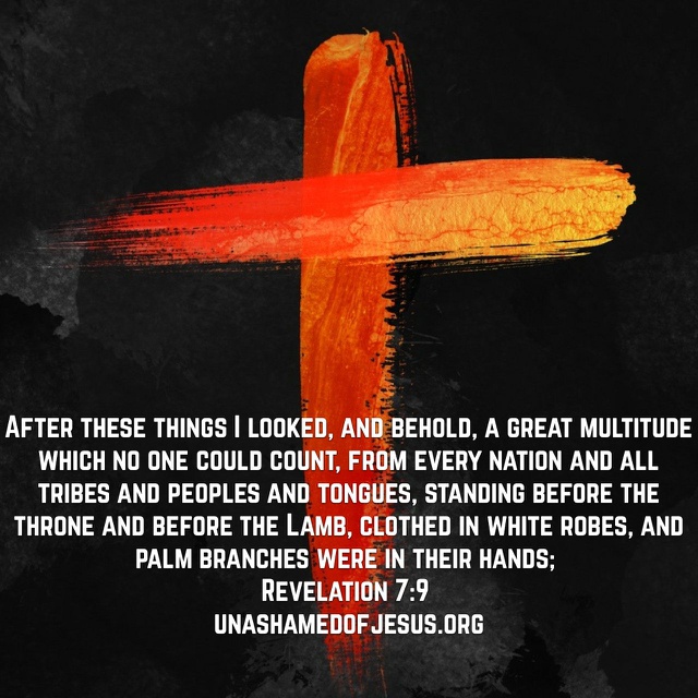 Great Multitude | Unashamed of Jesus