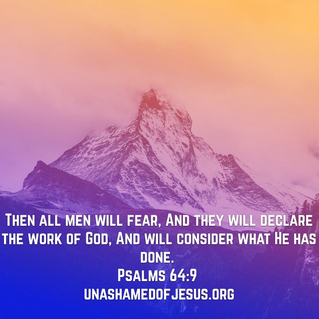 Declare | Unashamed of Jesus