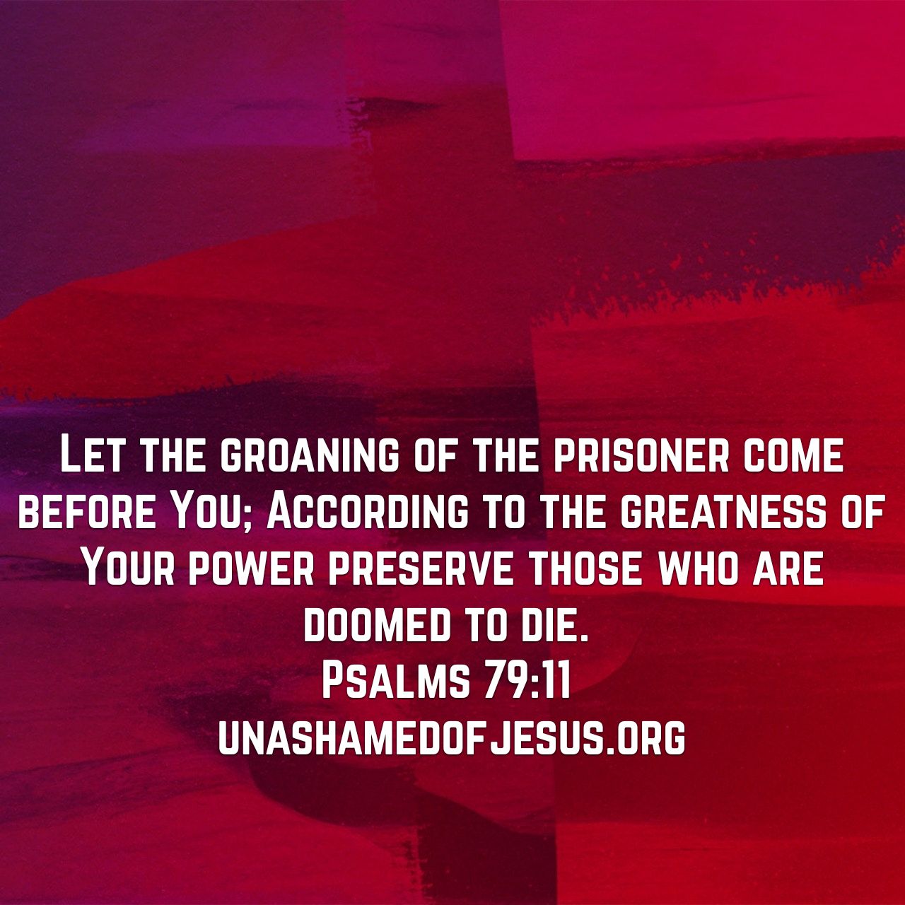 Power to Persevere | Unashamed of Jesus
