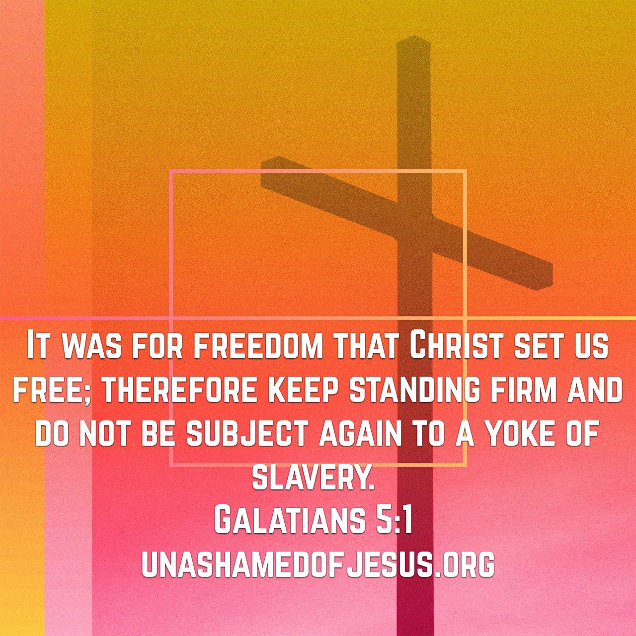 Freedom | Unashamed of Jesus