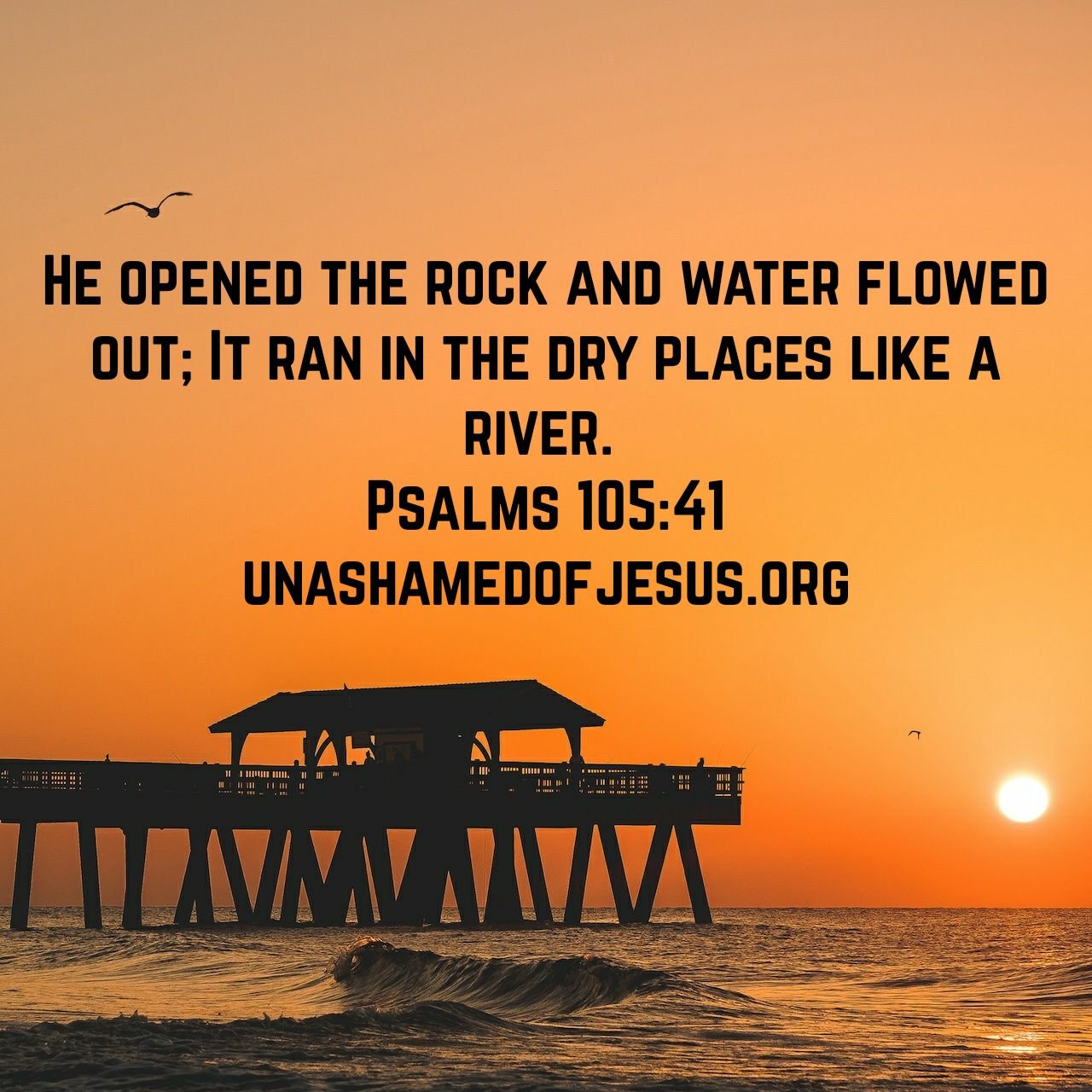 Living Water | Unashamed of Jesus