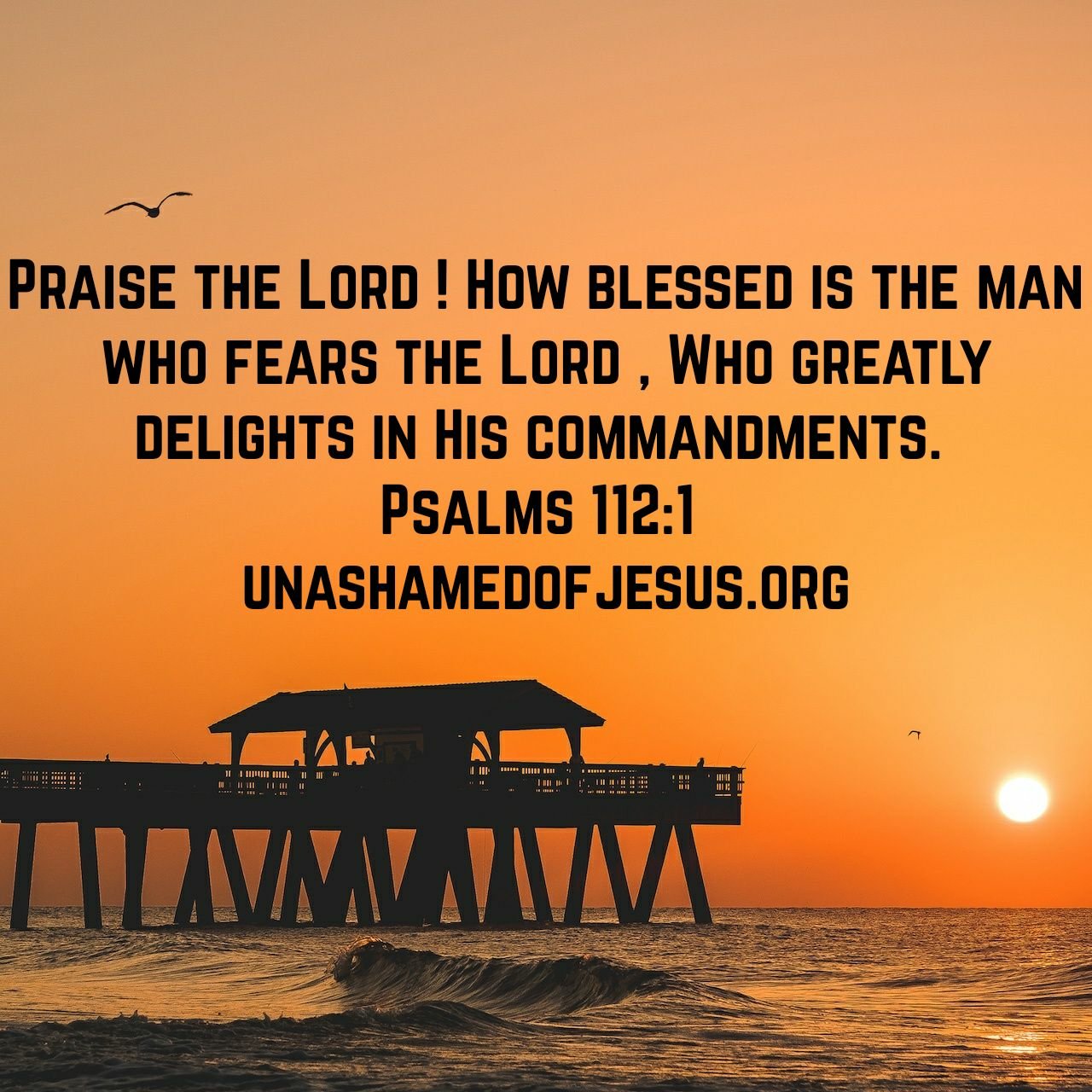 Praise Jesus | Unashamed of Jesus