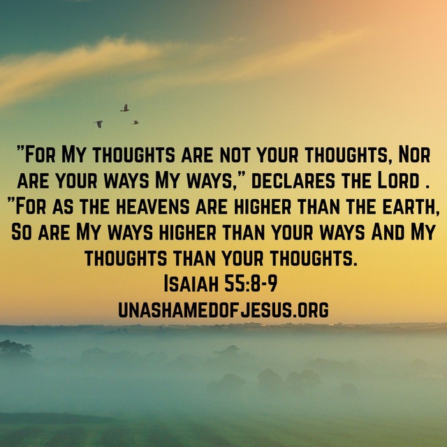 Beyond Comprehension | Unashamed of Jesus