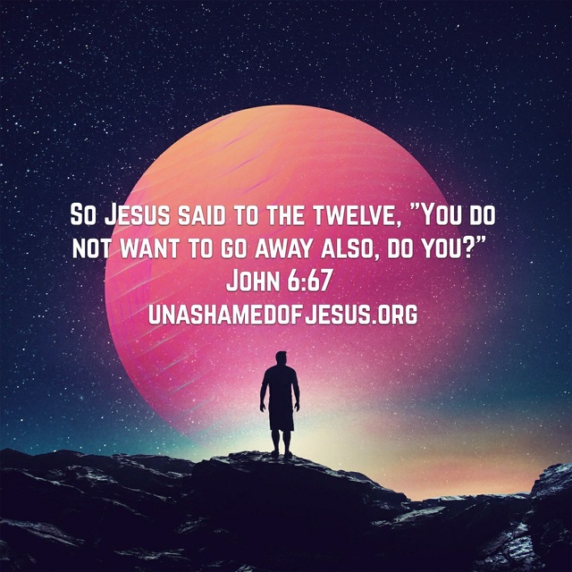 Free To Decide | Unashamed of Jesus