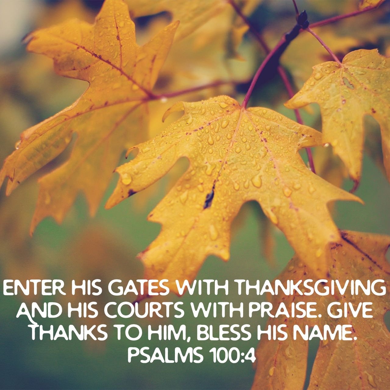 Thanksgiving | Unashamed of Jesus