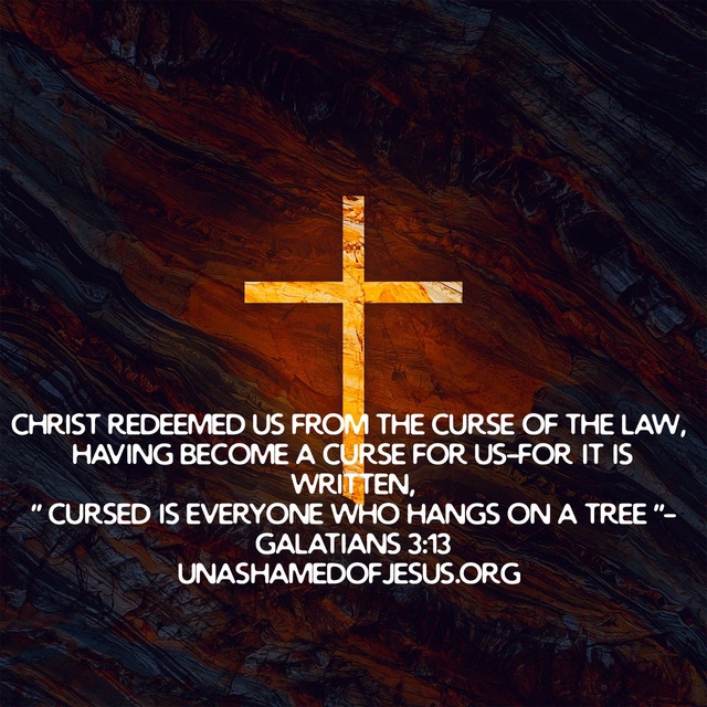Curse Of The Law | Unashamed of Jesus