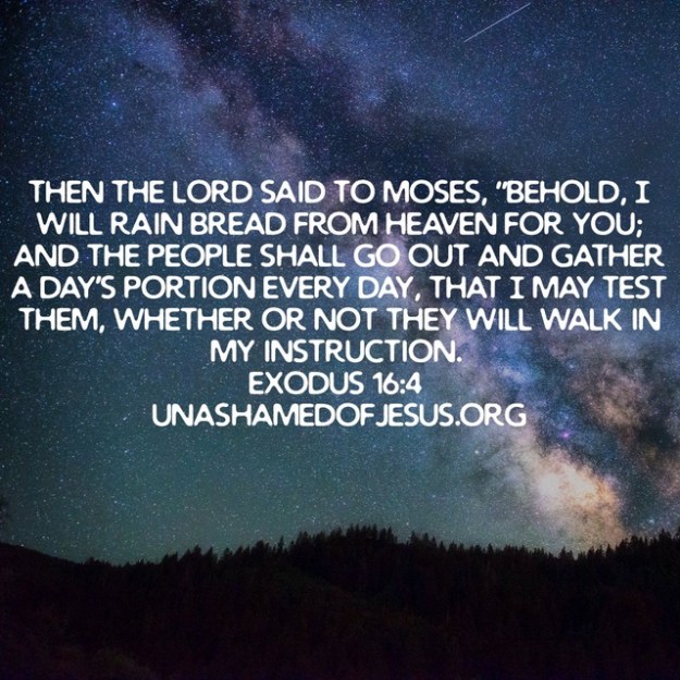 Manna from Heaven | Unashamed of Jesus