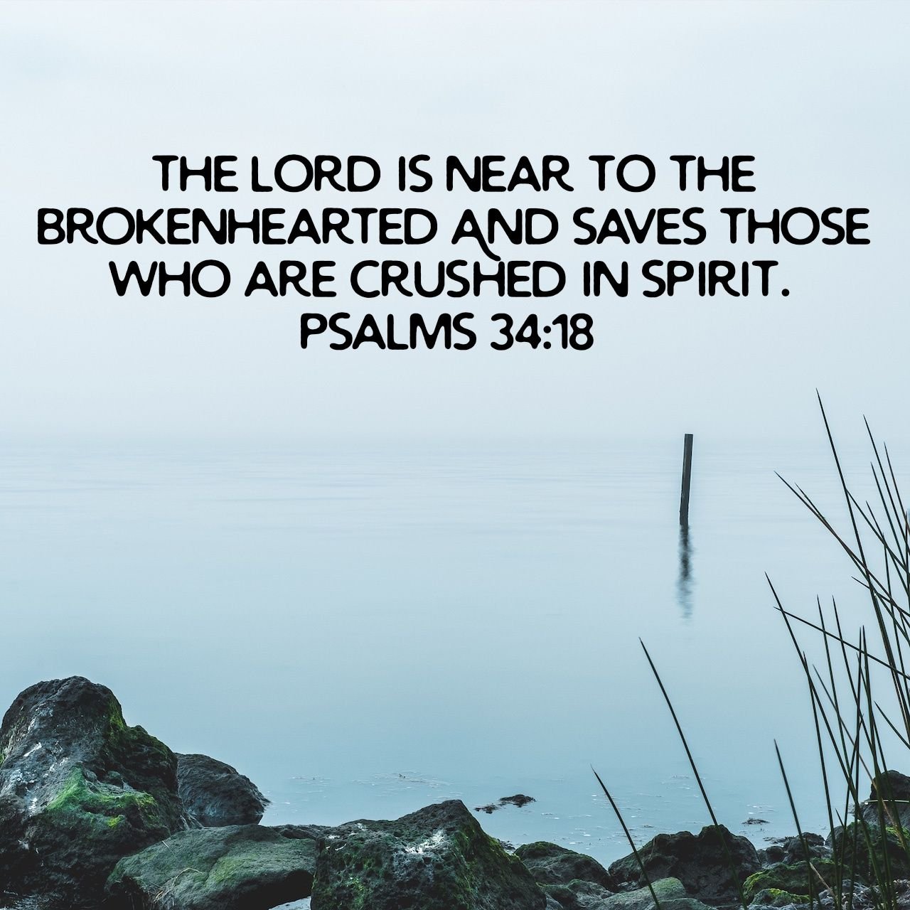 Jesus Is Near | Unashamed of Jesus