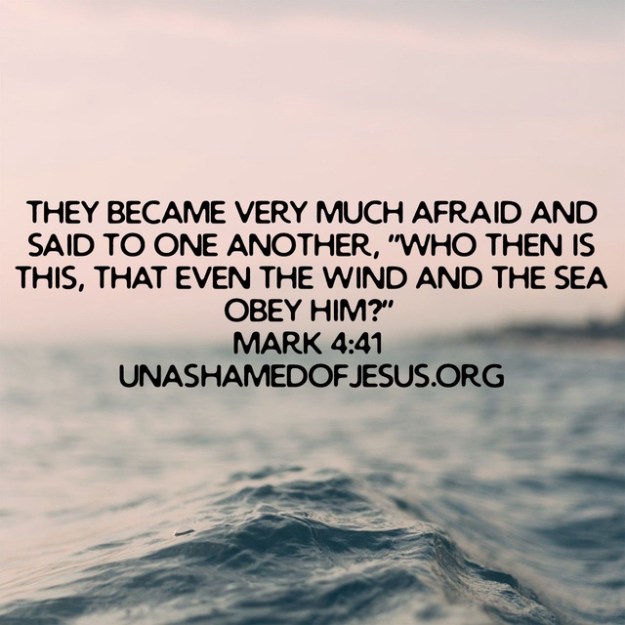 Calm In The Storm | Unashamed of Jesus