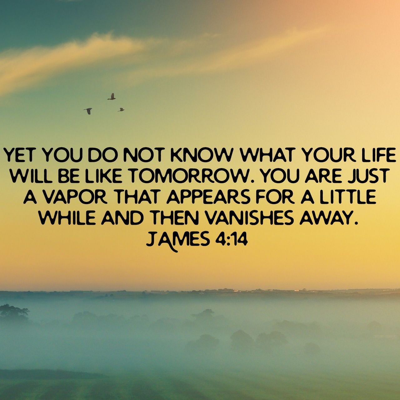 Vapor In The Wind | Unashamed of Jesus