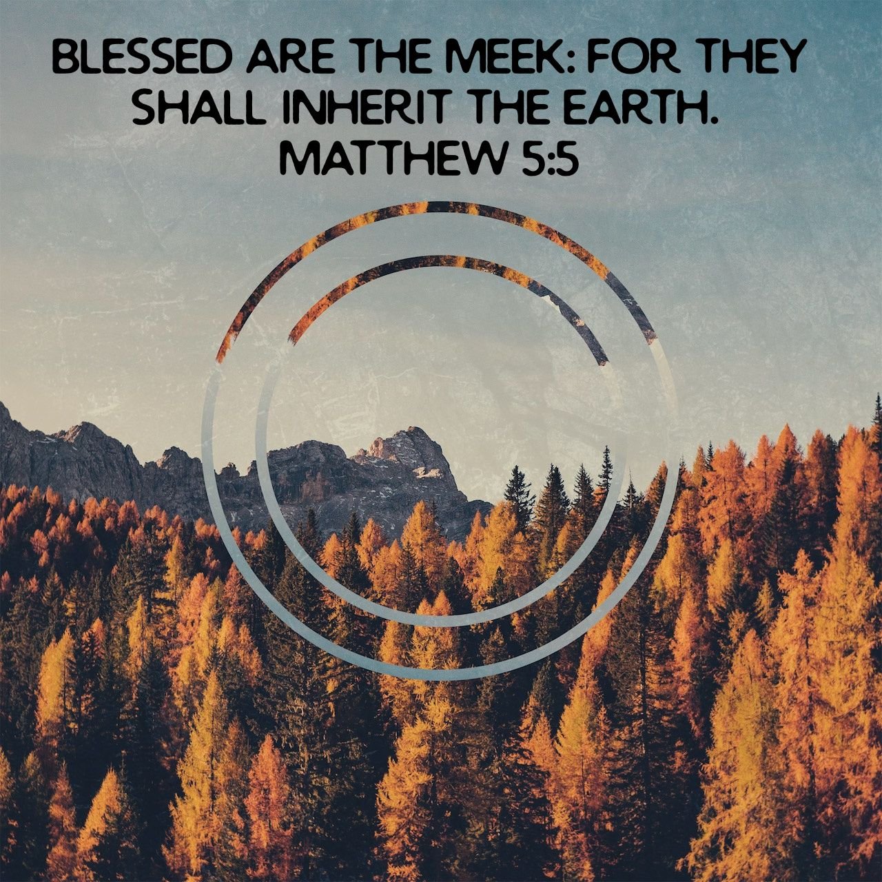 The Meek | Unashamed of Jesus