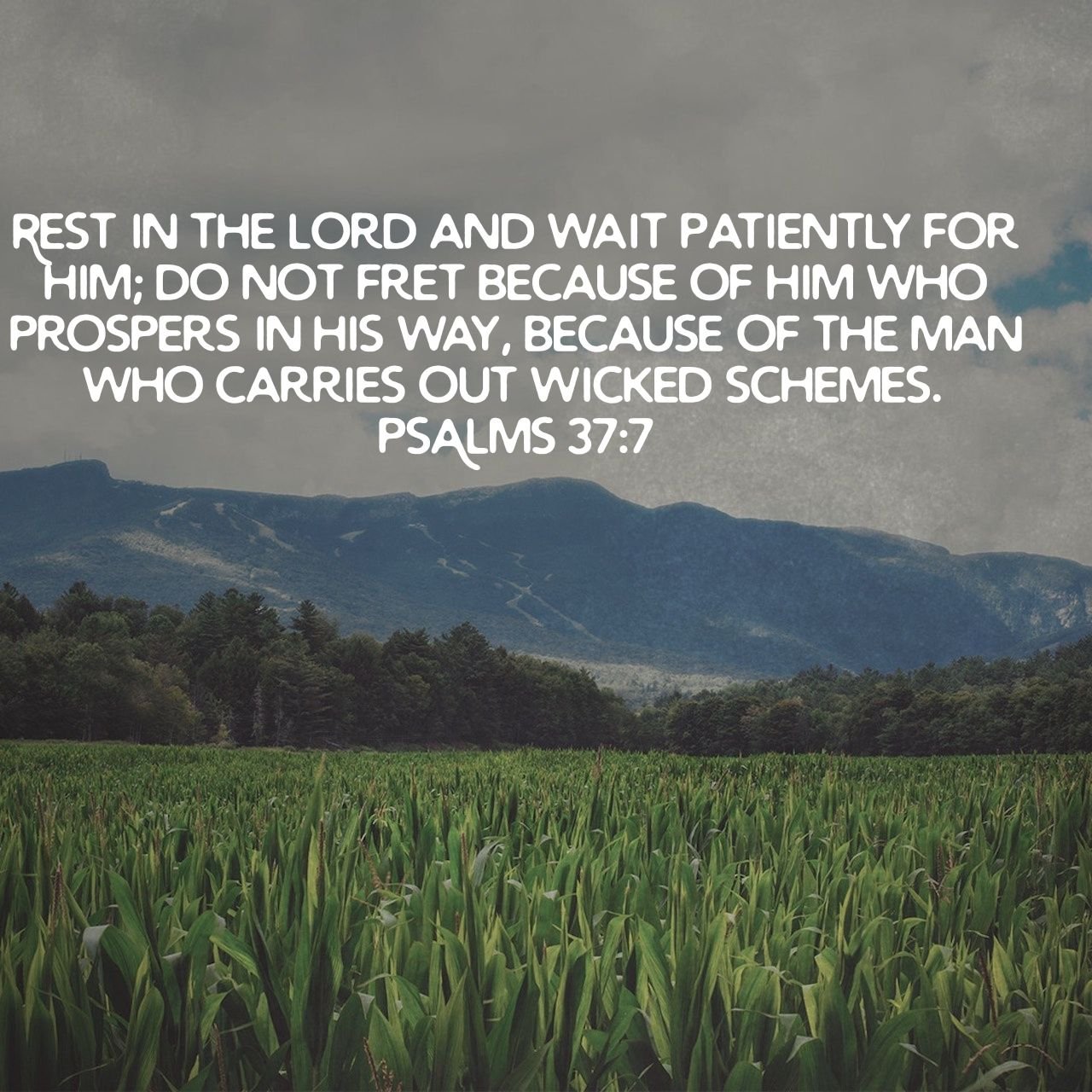 Rest In Jesus | Unashamed of Jesus