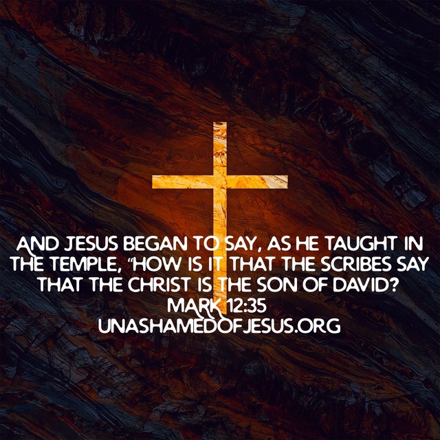 Line of David | Unashamed of Jesus