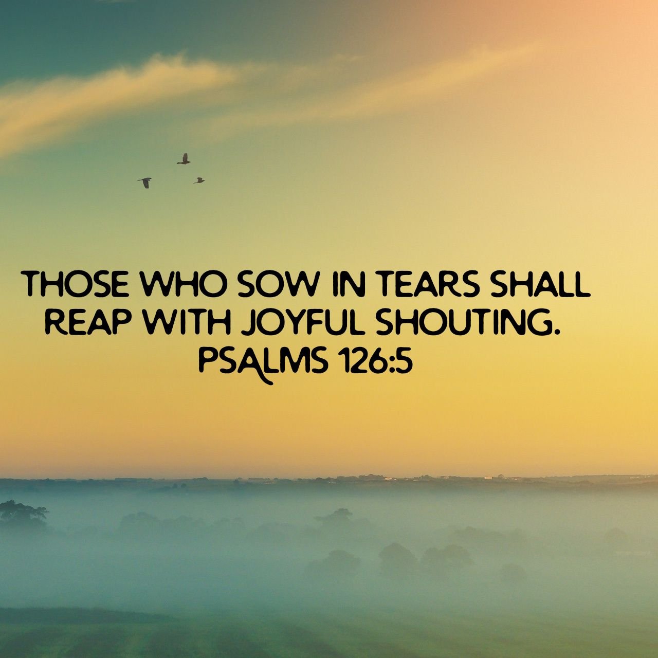 Joyful Shouting | Unashamed of Jesus