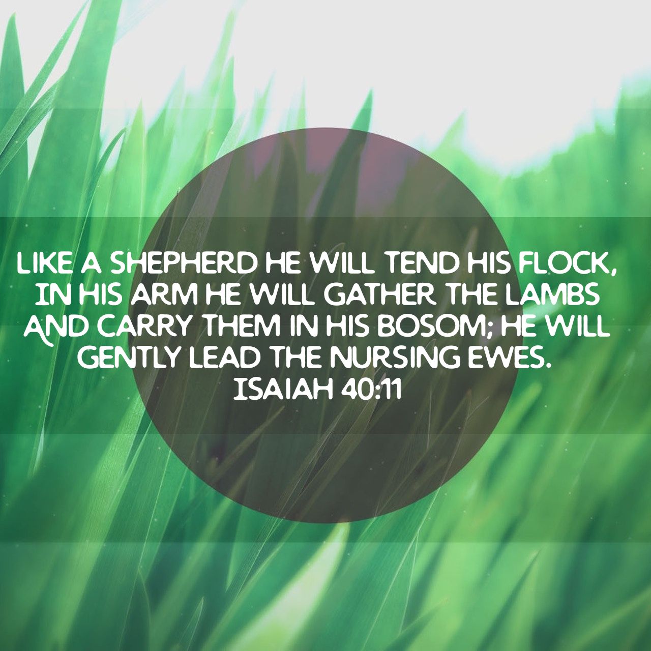 In His Arms | Unashamed of Jesus