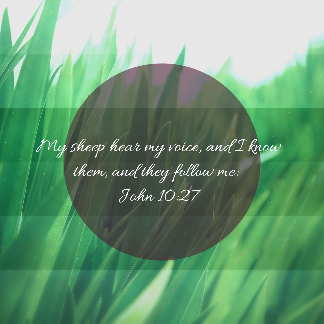 The Great Shepherd | Unashamed of Jesus