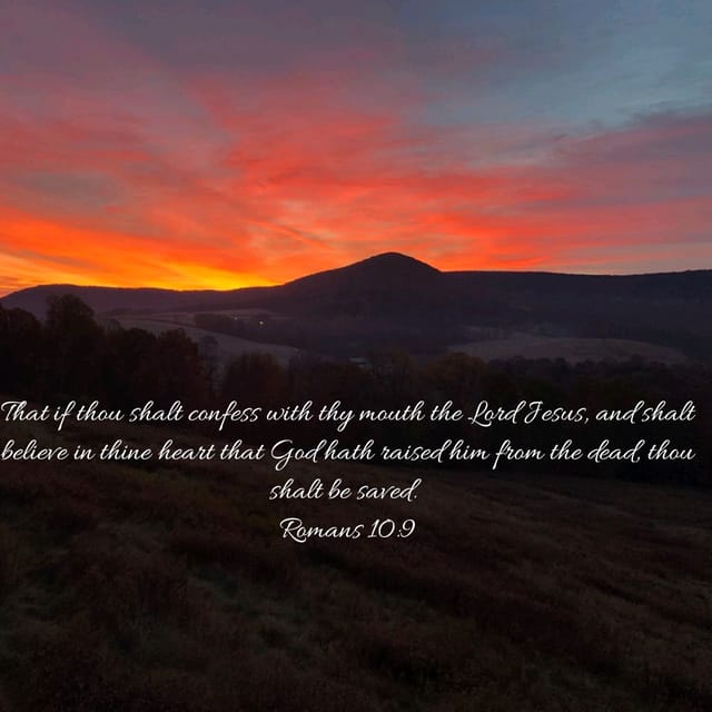 Confess Christ | Unashamed of Jesus