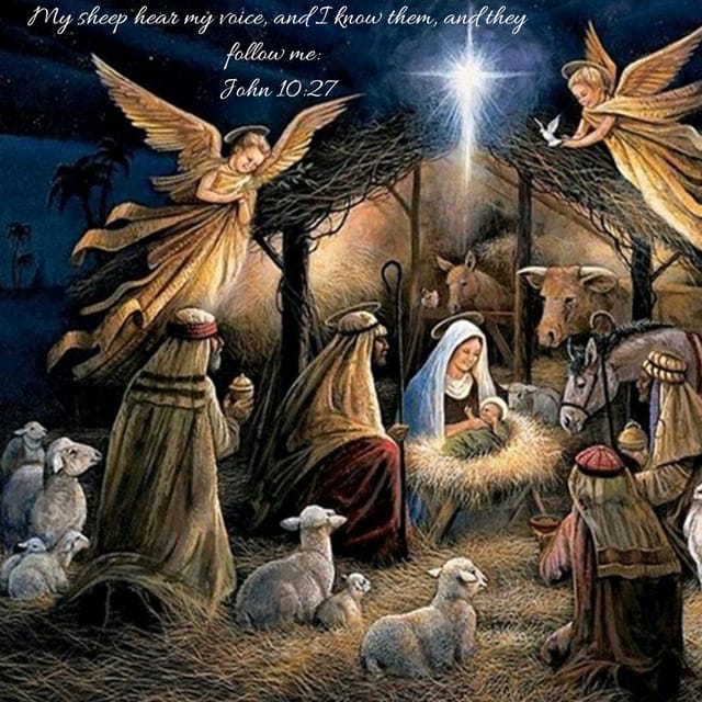 The Christmas Sheep Part 1 | Unashamed of Jesus