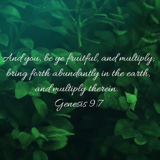 Be Fruitful and Multiply | Unashamed of Jesus